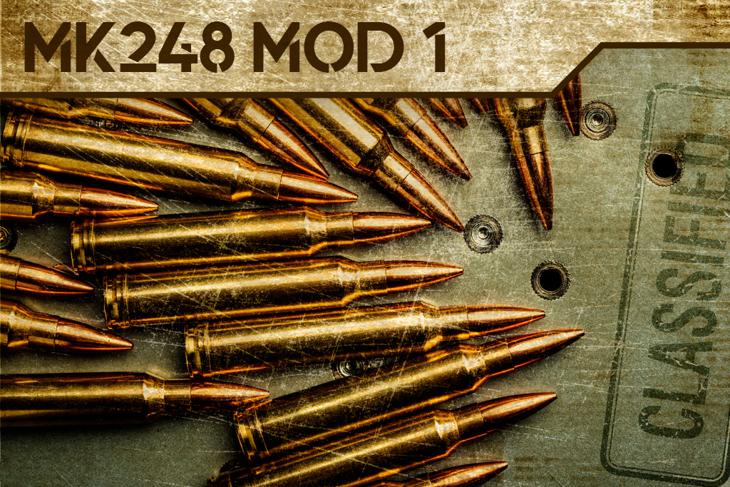 MK248 Mod 1 - What's It Good For?