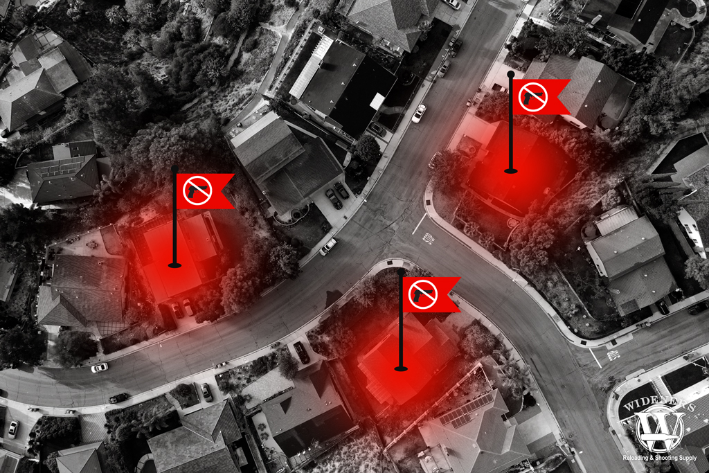 Second Amendment Sanctuaries - Gamechanger?